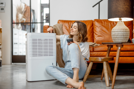 Renovations that Improve Indoor Air Quality - Blog | Realty Executives